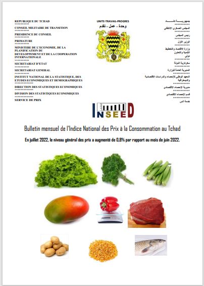 INSEED-TCHAD | ACCUEIL